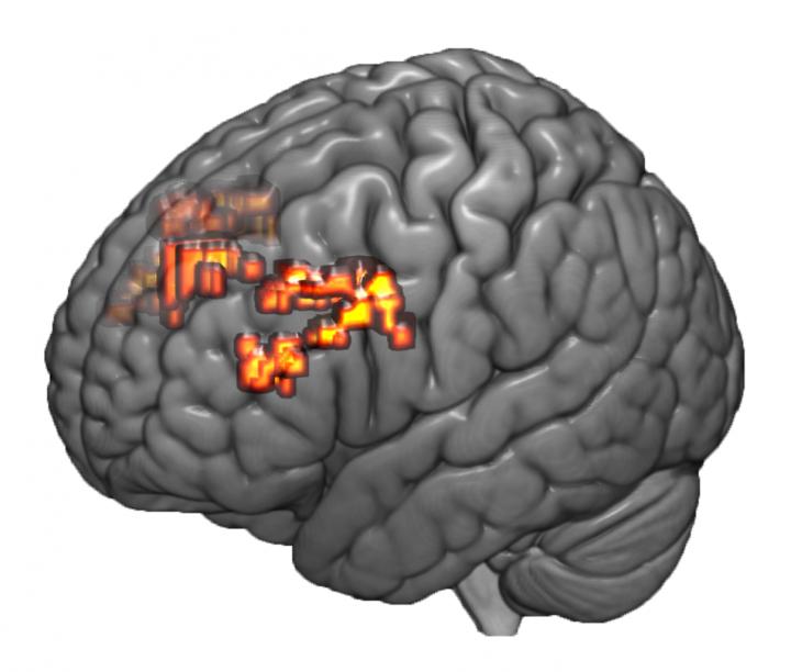 Overlay [IMAGE] | EurekAlert! Science News Releases