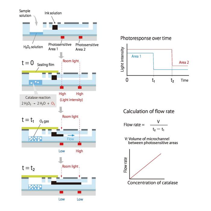 Schematic of new micro-TAS sch [IMAGE] | EurekAlert! Science News Releases