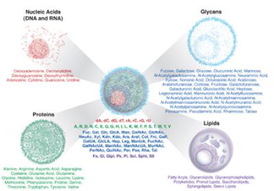 Molecular Building Blocks [IMAGE] | EurekAlert! Science News Releases