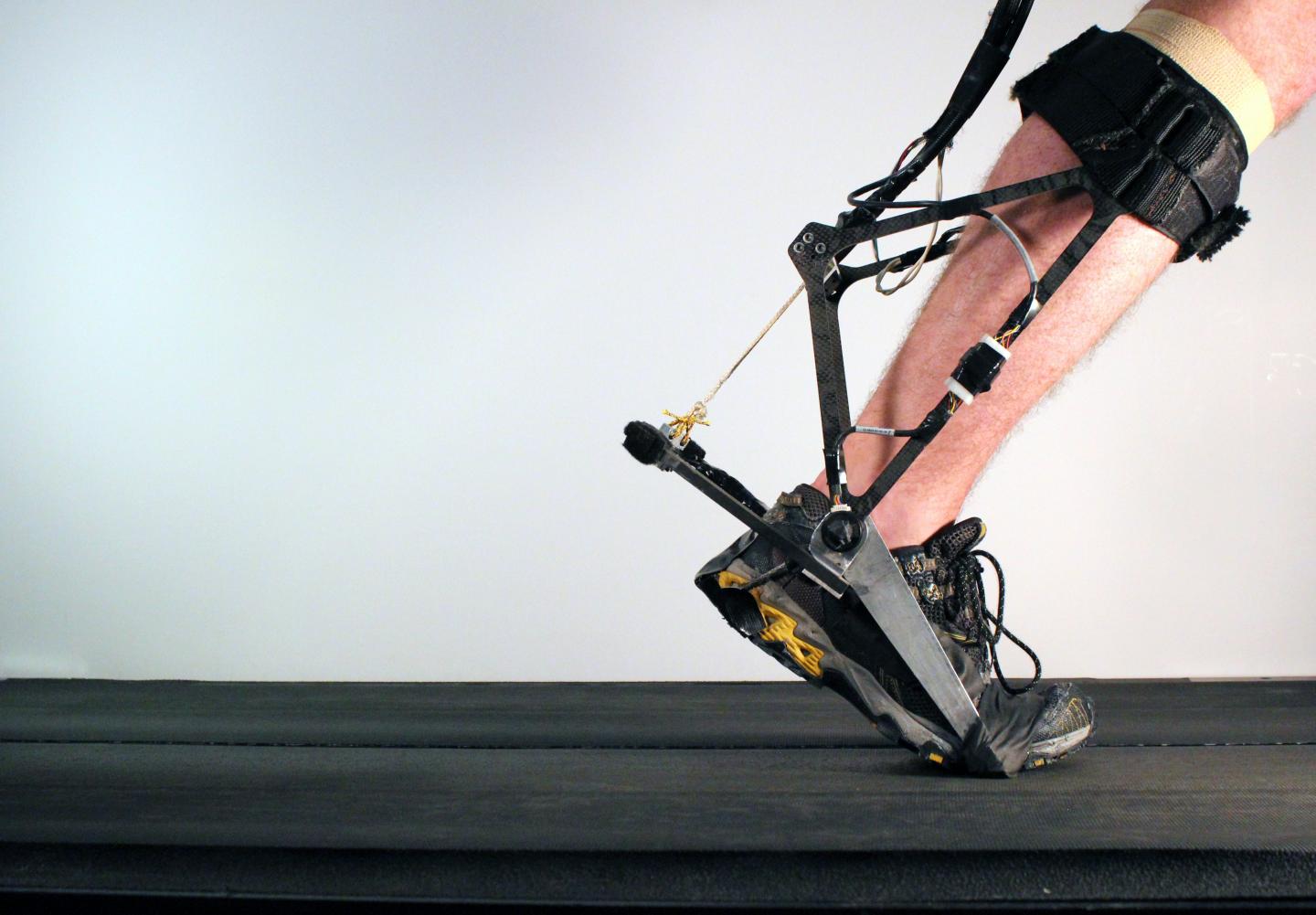 Personalized Exoskeletons Are Taking Support | EurekAlert!