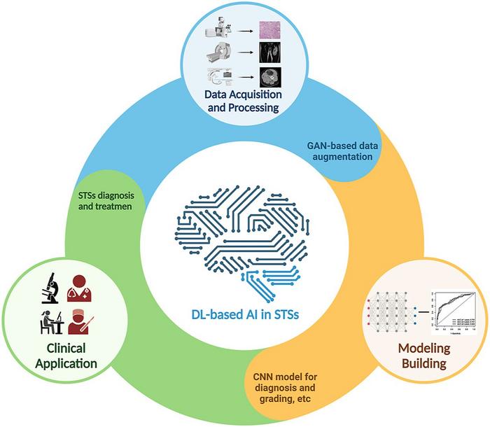 How the DL-based AI in STSs WO [IMAGE] | EurekAlert! Science News Releases