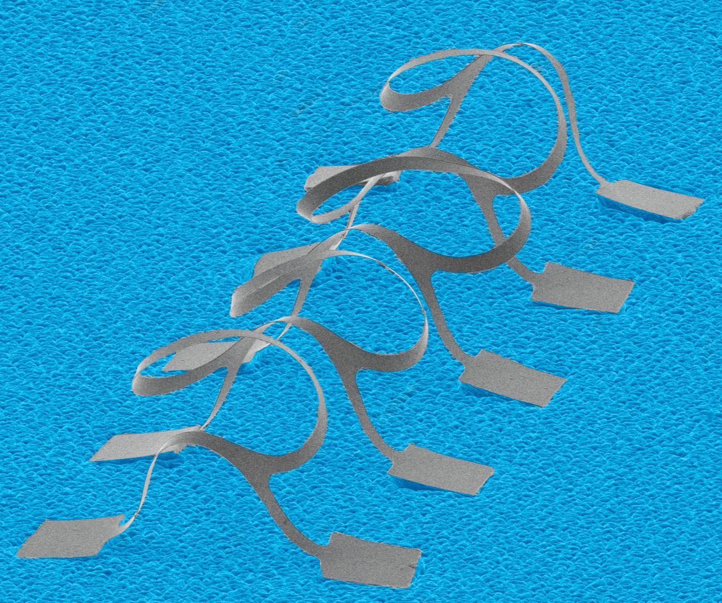 Popping Materials and Devices in 3-D (3 of 6) | EurekAlert!