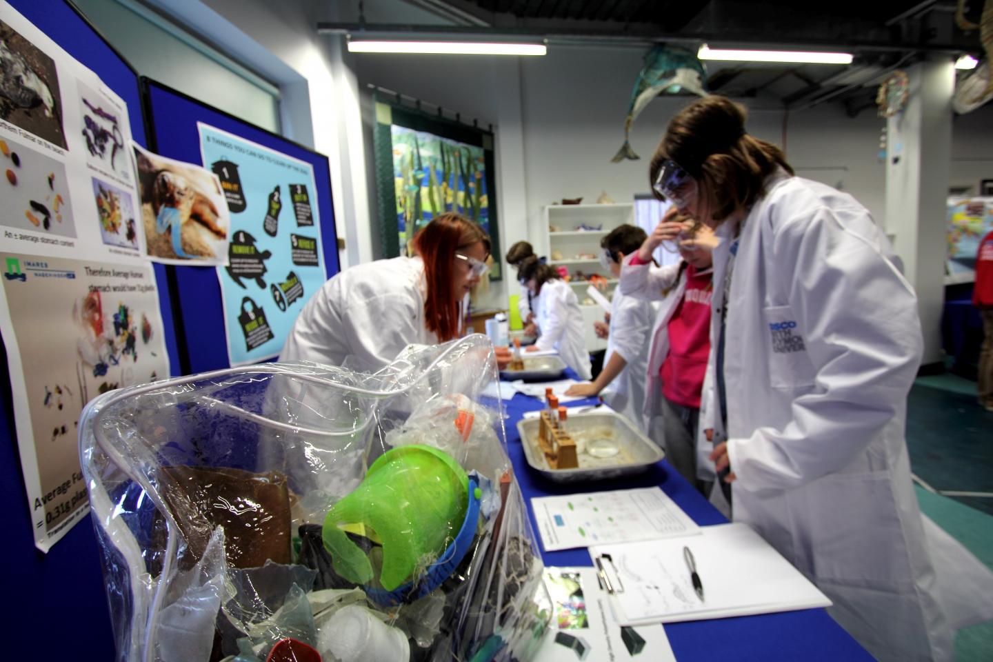 Marine litter education boosts children's und | EurekAlert!