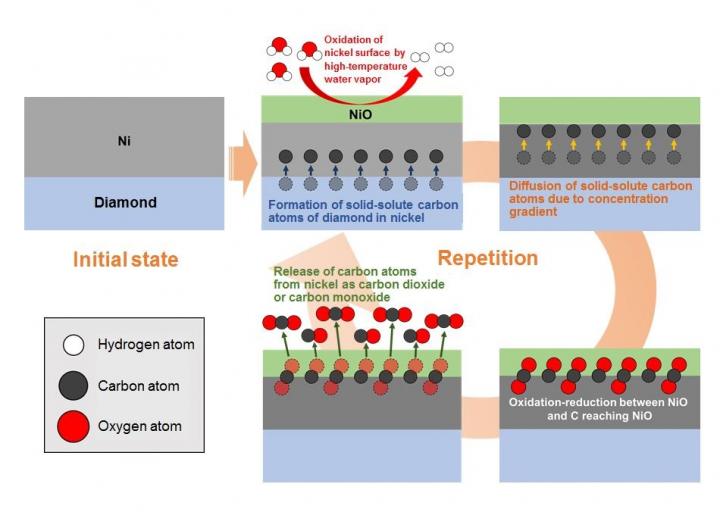 Figure 2 [IMAGE] | EurekAlert! Science News Releases