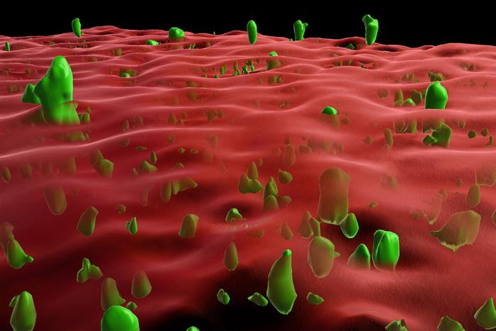 3D reconstruction [IMAGE] | EurekAlert! Science News Releases