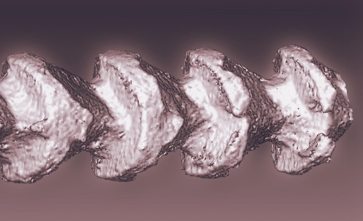 Silicon Spicule [IMAGE] | EurekAlert! Science News Releases