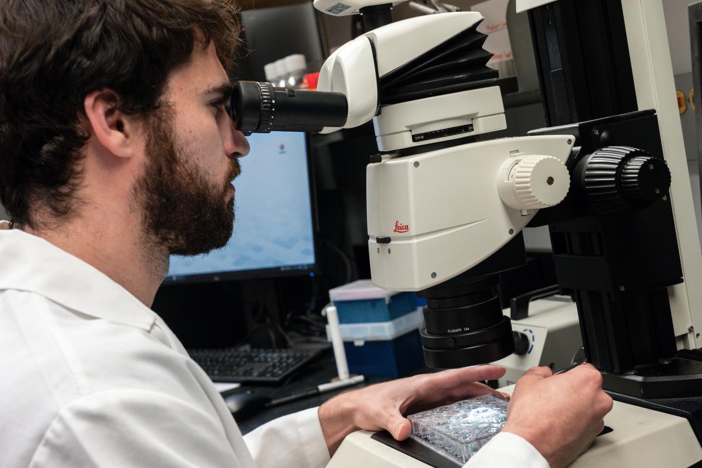 Michael Sacco [IMAGE] | EurekAlert! Science News Releases