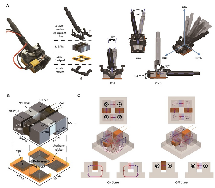 Figure 2 [IMAGE] | EurekAlert! Science News Releases