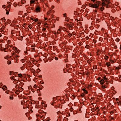 Self-Assembled, Complex Nano-Objects in 3-D ( | EurekAlert!