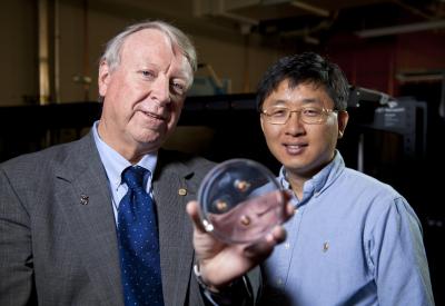 Ned Thomas and Jae-Hwang Lee, [IMAGE] | EurekAlert! Science News Releases