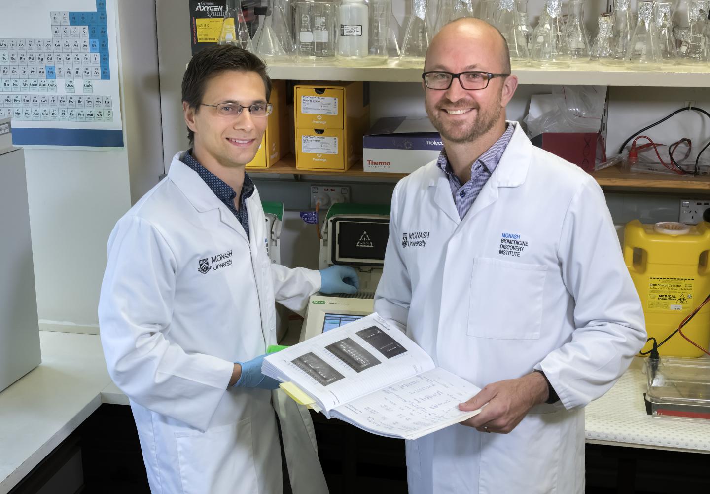 The end of yo-yo dieting? Monash researchers | EurekAlert!