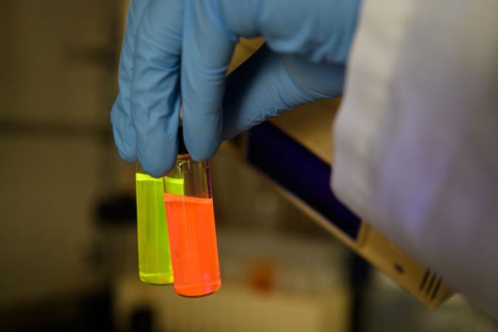 Ultrafast Voltage-Sensitive Dy [IMAGE] | EurekAlert! Science News Releases