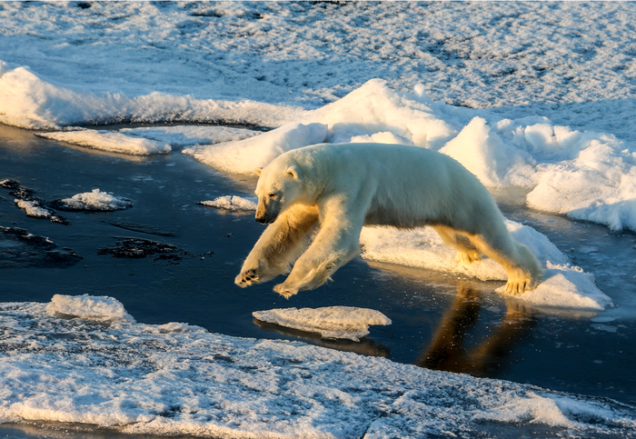 Ocean warming [IMAGE] | EurekAlert! Science News Releases