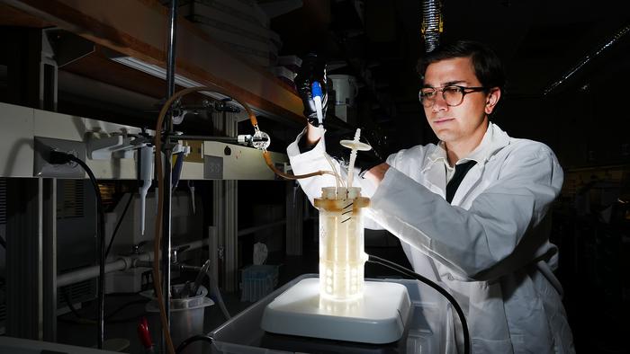 Bioreactor lab work [IMAGE] | EurekAlert! Science News Releases