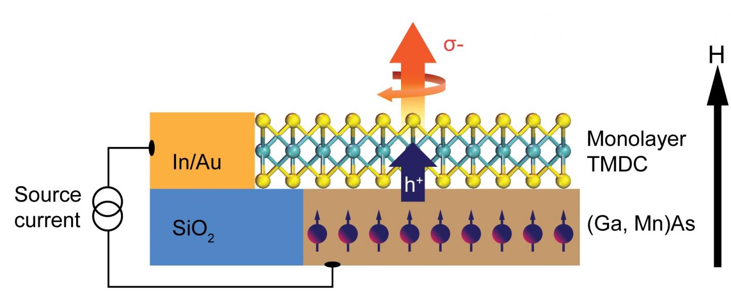 Scientists push valleytronics 1 step closer t | EurekAlert!