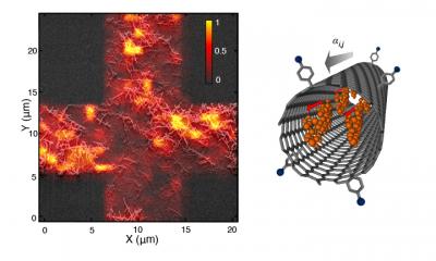 Amplifying our vision of the infinitely small | EurekAlert!