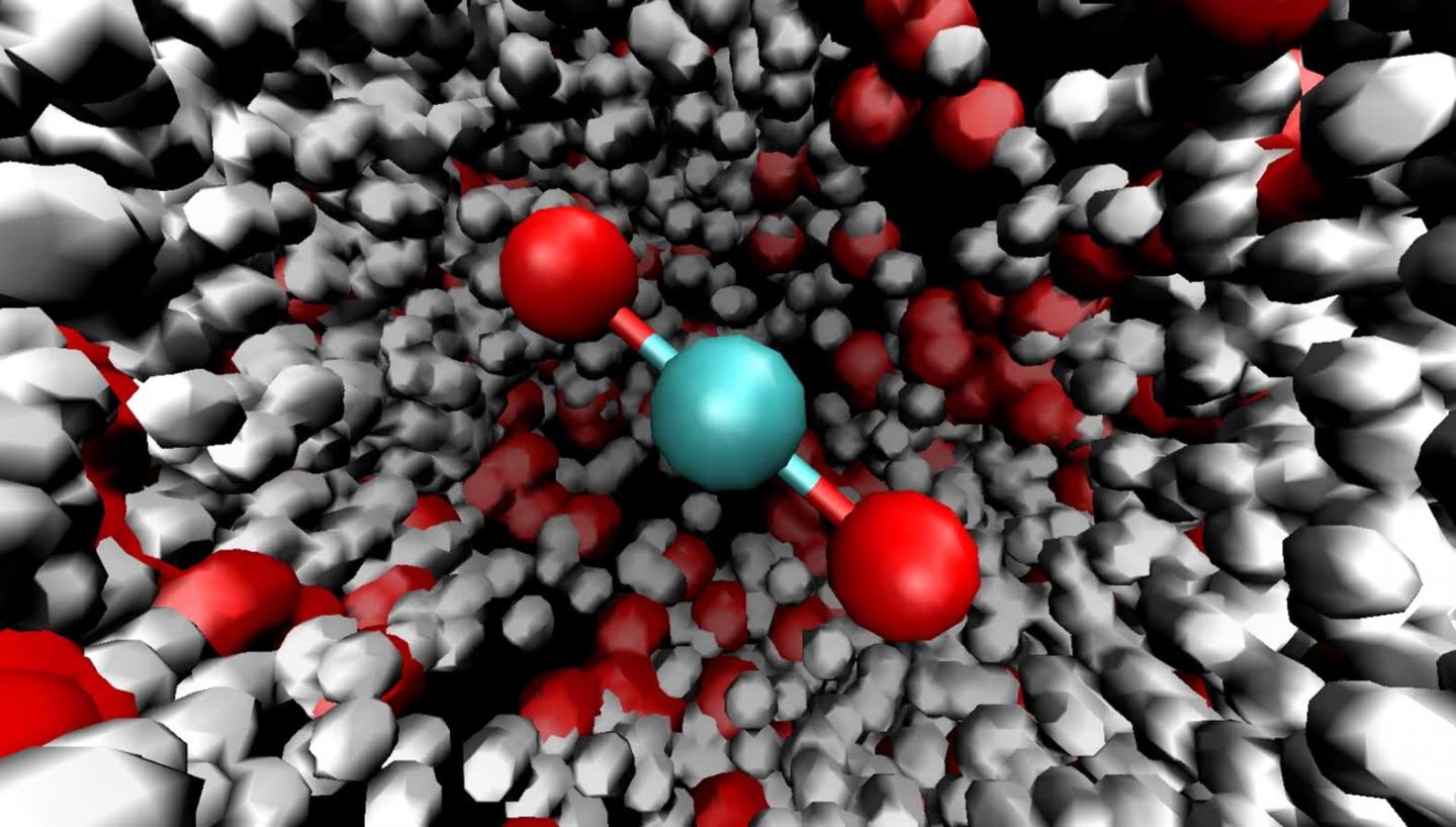 Carbonic Acid Formation [IMAGE] | EurekAlert! Science News Releases
