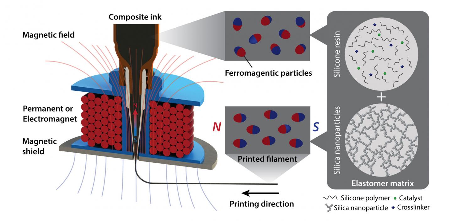 Schematics of Printing Process [IMAGE] | EurekAlert! Science News Releases