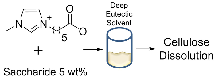 New solvents to break down plant cellulose fo | EurekAlert!