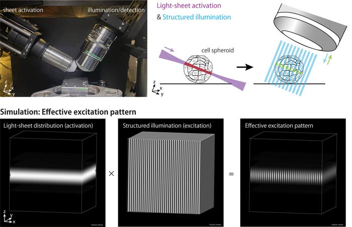 Fig. 1 [IMAGE] | EurekAlert! Science News Releases