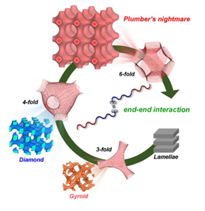 Plumber’s nightmare structure in block polyme | EurekAlert!
