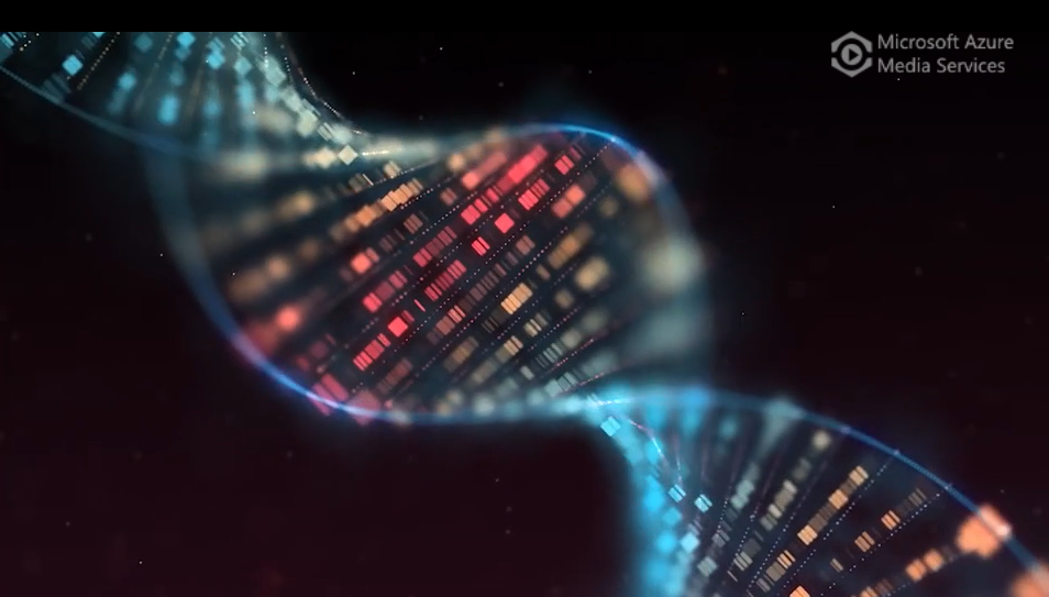 Discovery of 119-million-year-old selfish gen | EurekAlert!