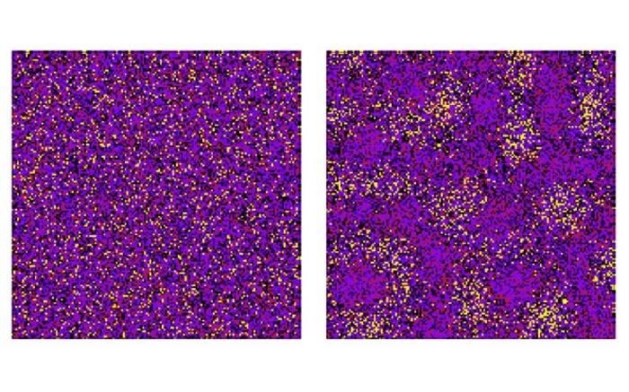 Majority rule in complex mixtu [IMAGE] | EurekAlert! Science News Releases