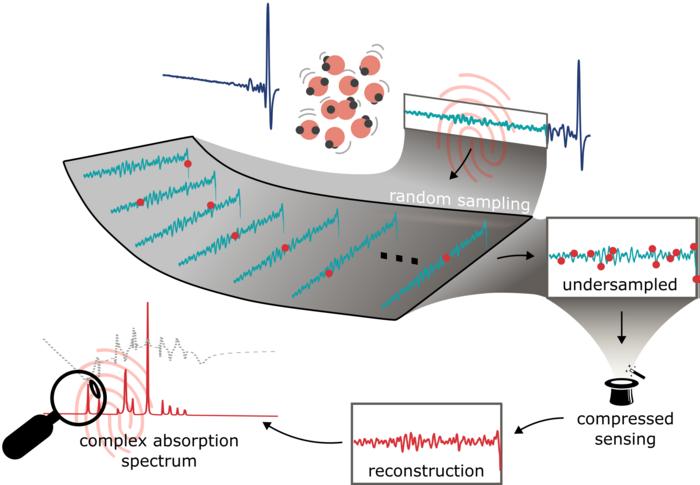 Visual summary of compressed s [IMAGE] | EurekAlert! Science News Releases