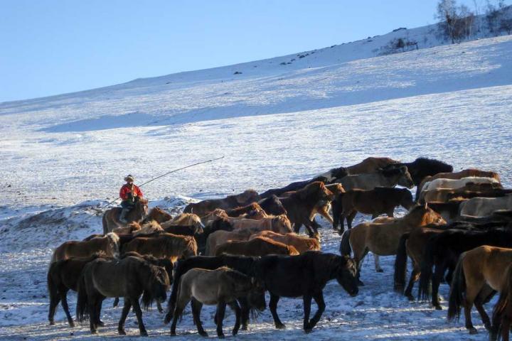 Mongolia Winter [IMAGE] | EurekAlert! Science News Releases
