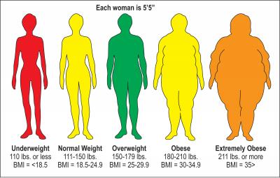 Visual Depiction of BMI Catego [IMAGE] | EurekAlert! Science News Releases