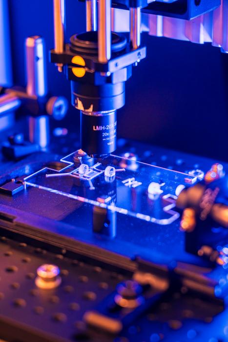 Making a Giga Femto Laser [IMAGE] | EurekAlert! Science News Releases