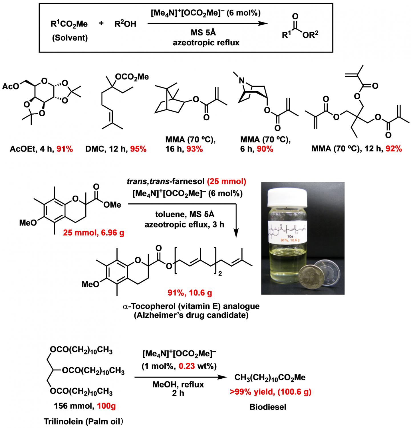 Substrate Scope and Gram Scale [IMAGE] | EurekAlert! Science News Releases