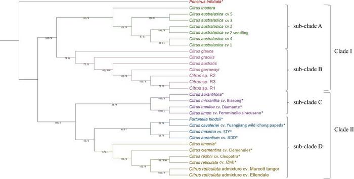 Unveiling the genetic tapestry of Australian | EurekAlert!
