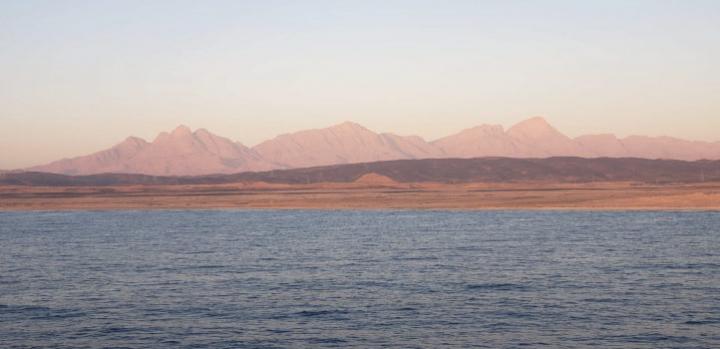 Red Sea coast [IMAGE] | EurekAlert! Science News Releases