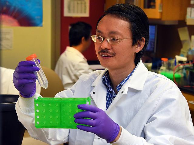 Dr. Zheng Dong, Medical Colleg [IMAGE] | EurekAlert! Science News Releases