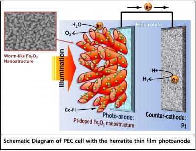 Schematic Diagram of PEC Cell [IMAGE] | EurekAlert! Science News Releases