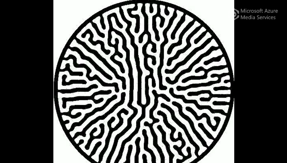 An AI message decoder based on bacterial grow | EurekAlert!