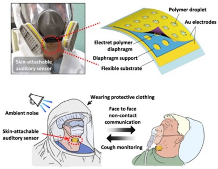 Skin-attachable auditory sensor that function | EurekAlert!