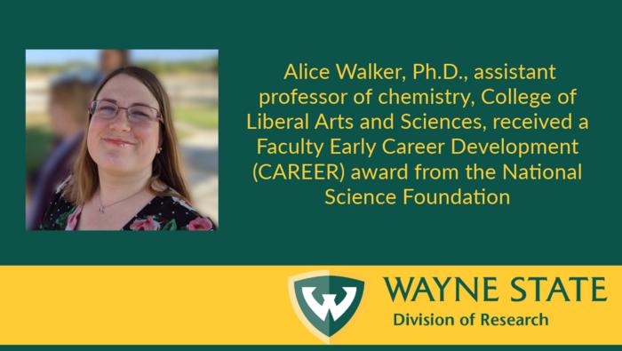 Dr. Alice Walker, Wayne State [IMAGE] | EurekAlert! Science News Releases