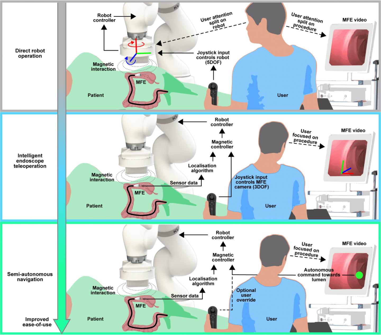 Diagram Showing the Levels of [IMAGE] | EurekAlert! Science News Releases