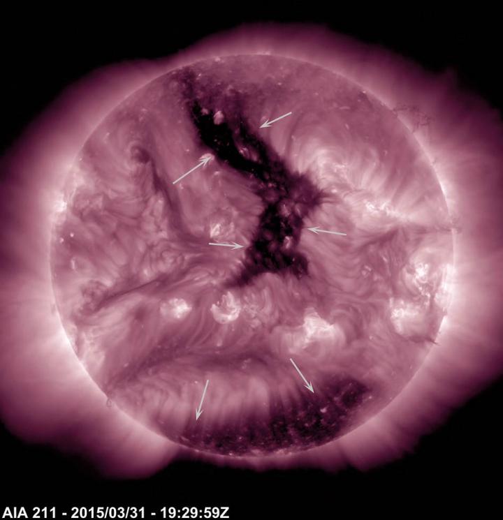 NASA's SDO Sees Two Coronal Holes on the Sun | EurekAlert!