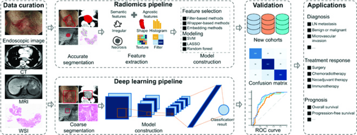 AI improving digestive cancer [IMAGE] | EurekAlert! Science News Releases
