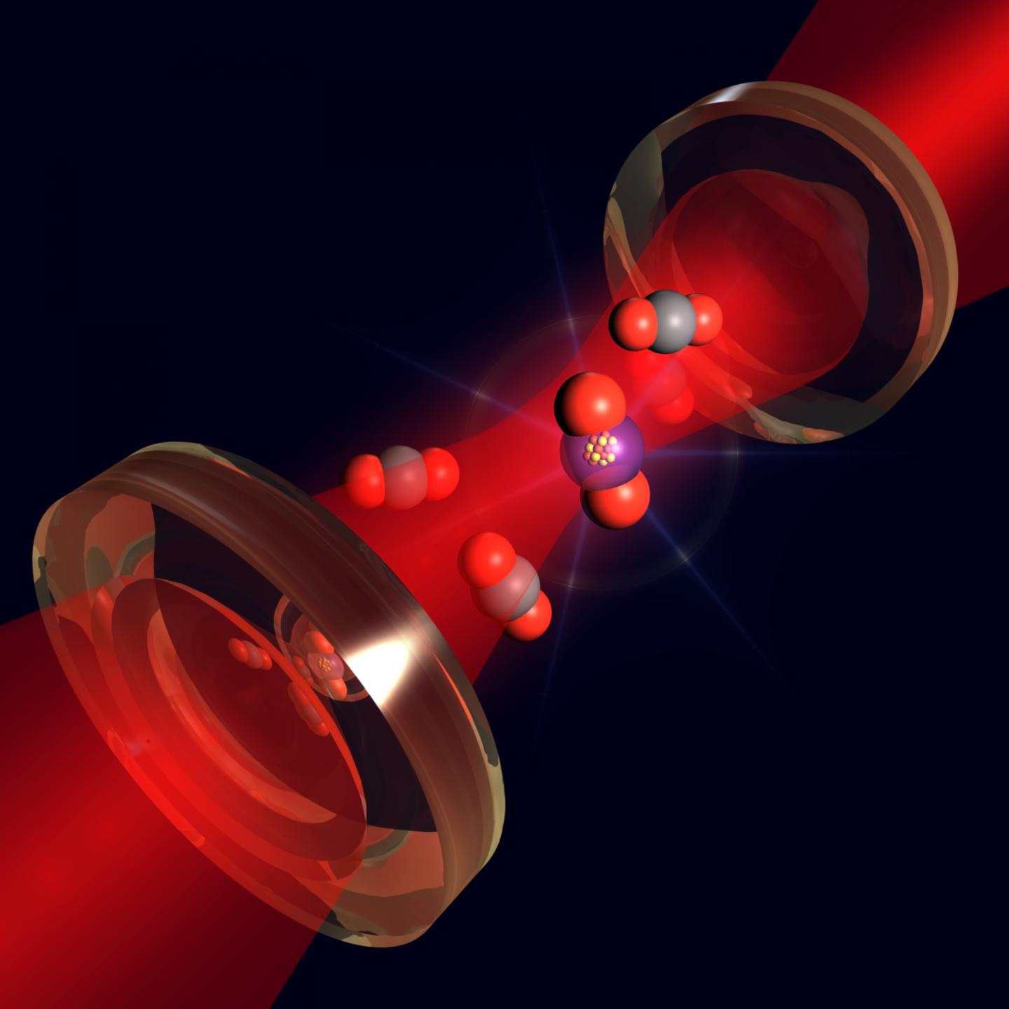 Trace Gas Detection [IMAGE] | EurekAlert! Science News Releases