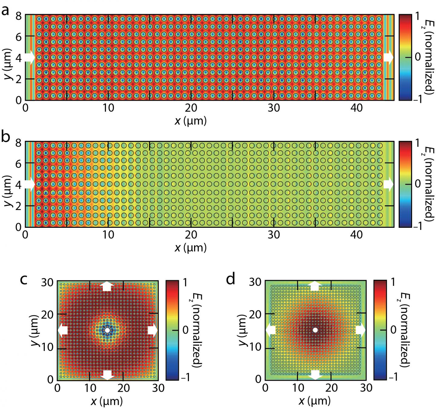 Figure 3 | Electric field dist [IMAGE] | EurekAlert! Science News Releases
