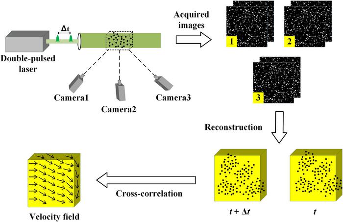 Schematic diagram of the worki [IMAGE] | EurekAlert! Science News Releases