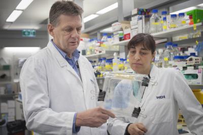 Alan Cowman and Dr. Neta Regev [IMAGE] | EurekAlert! Science News Releases