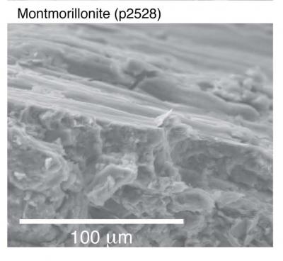 Fine Structure [IMAGE] | EurekAlert! Science News Releases