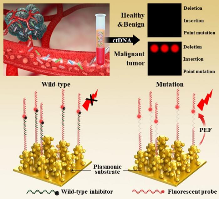 Detects cancer genes with ultra-high sensitiv | EurekAlert!