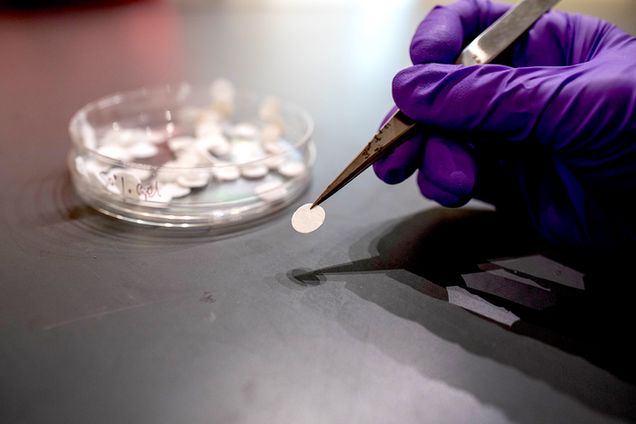 lab shot [IMAGE] | EurekAlert! Science News Releases