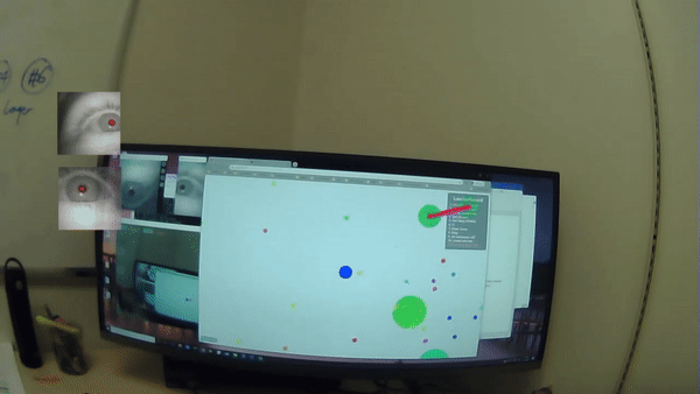 Video Game Eyes Gif [IMAGE] | EurekAlert! Science News Releases